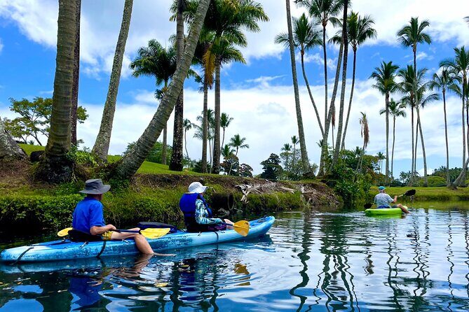 Wailoa River to King Kamehameha Statue Kayak Adventure - Who Will Love This Tour?
