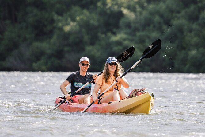 Wailua River: Kayak & Secret Waterfall Adventure - Key Points