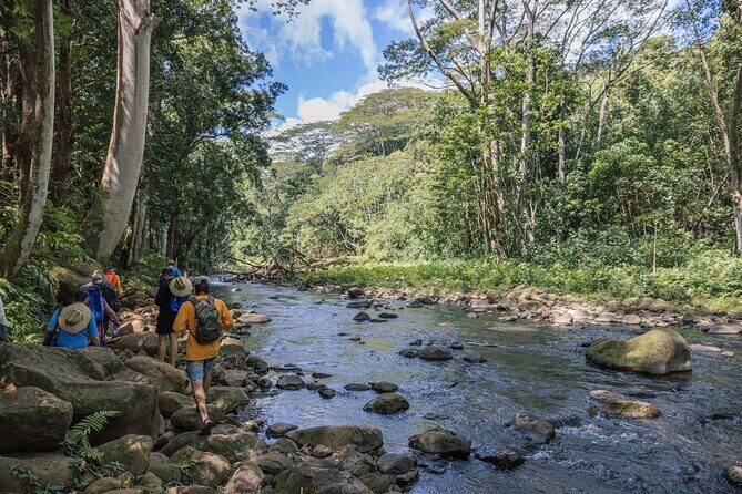Wailua River: Kayak & Secret Waterfall Adventure - The Sum Up