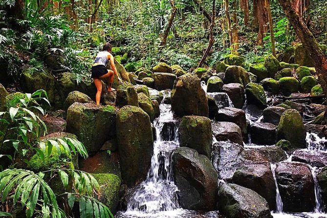 Wailua River & Waterfalls Kayak Tour: Expert-Guided Adventure - Practical Details That Matter