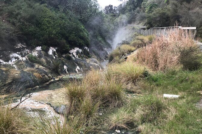 Waimangu Geothermal Valley & Lake Rotomahana Tour  7hrs - Introduction