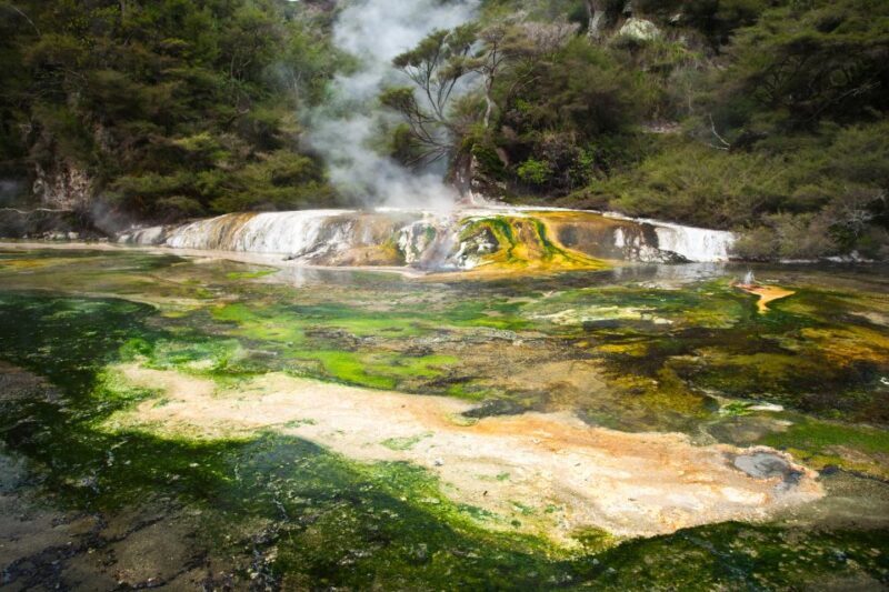 Waimangu: Volcanic Valley Walk and Lake Rotomahana Cruise - An In-Depth Look at the Waimangu Experience