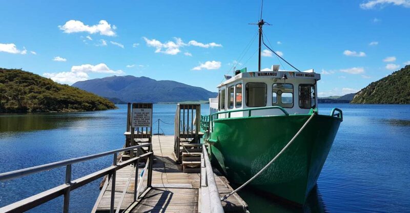 Waimangu: Volcanic Valley Walk and Lake Rotomahana Cruise - Who Will Love This Tour?
