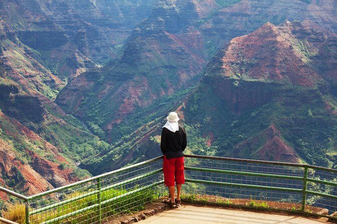 Waimea Canyon & Na Pali Driving Tour app - Benefits and limitations for travelers