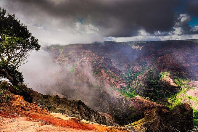 Waimea Canyon Private Tour with Local Guide from Kauai - Authentic Experiences and Real Traveler Insights