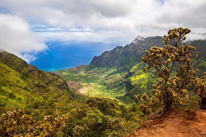Waimea Canyon Private Tour with Local Guide from Kauai - Who Is This Tour Best For?