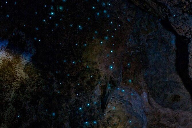 Waiomio Kawiti Glowworm Cave & Ngawha Hot Springs day tour - Introduction: A Well-Balanced Northland Day Trip