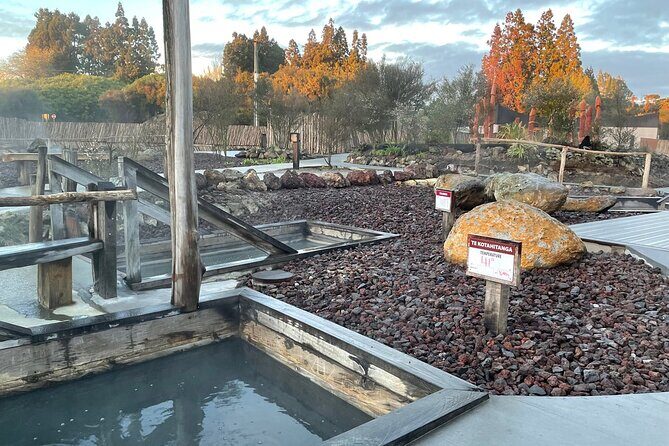 Waiomio Kawiti Glowworm Cave & Ngawha Hot Springs day tour - Pricing and Value