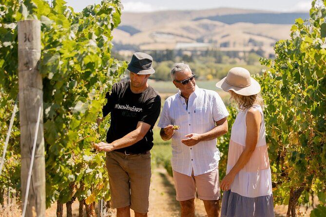 Waipara Valley Wine Region and Hanmer Springs All Day Tour - What Travelers Say