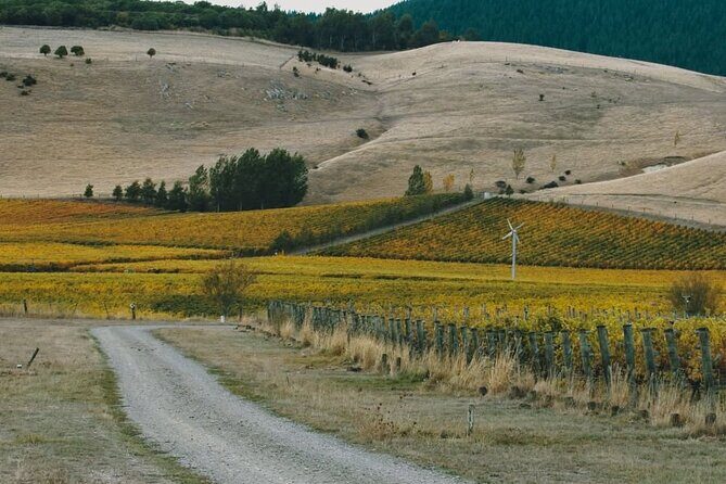 Waipara Valley Winery Tour Wine Tastings and Scenic Views - The Experience in Detail