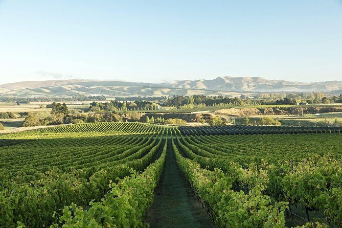 Waipara Wine Experience for 2 or more, inc tastings and lunch - Exploring the Waipara Valley: An Enchanting Wine Region