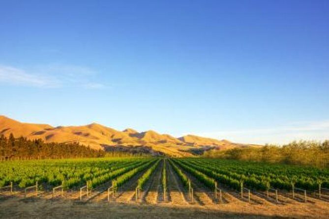 Waipara Wine Tour from Christchurch - including Lunch & Tastings - In-Depth Look at the Waipara Wine Tour