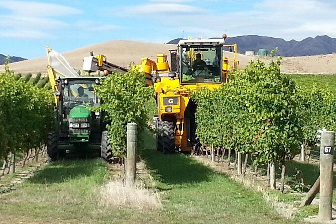 Waipara Wine Tour from Christchurch - including Lunch & Tastings - FAQs