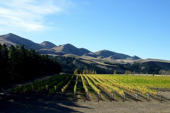 Waipara Wine Trail Private Group Tour From Christchurch - Final Thoughts
