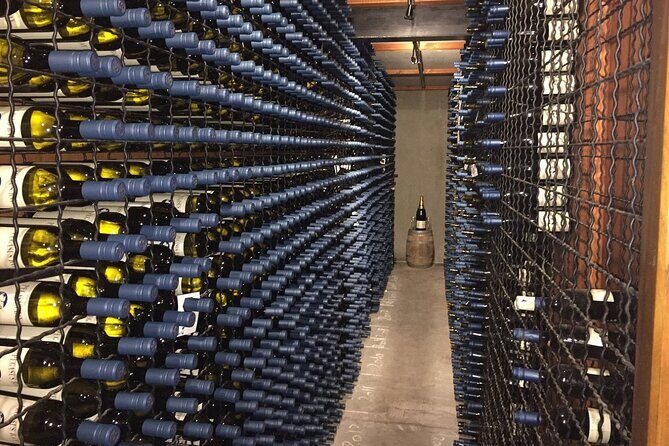 Waipara Wine Trail Tour From Christchurch - Final Thoughts: Is the Waipara Wine Trail Tour Right for You?