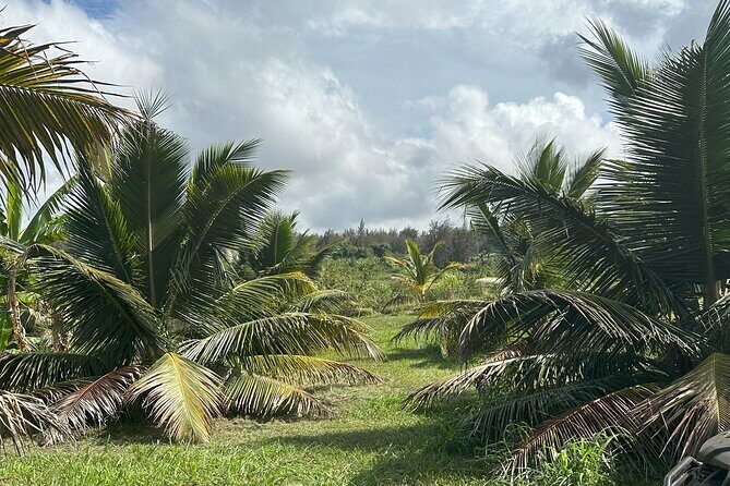 Waipio on Horseback: Mountain Ocean Views Working Cattle Ranch - Who Will Love This Tour?