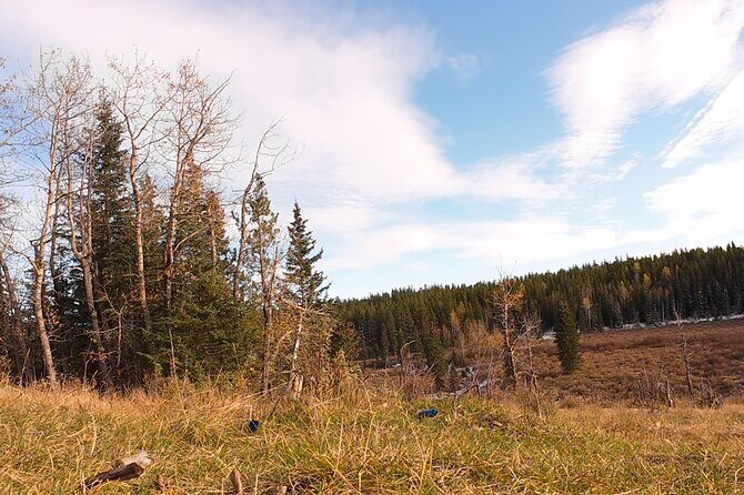 Waiprous Valley and Ghost Lake Offroad Tour - Key Points