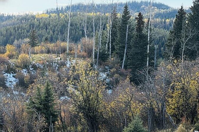 Waiprous Valley and Ghost Lake Offroad Tour - FAQ