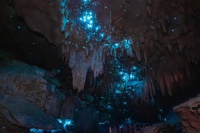 Waipu Milkyway Cave and East Coast Day Tour from Auckland - Key Points