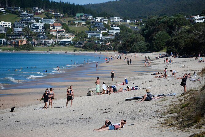 Waipu Milkyway Cave and East Coast Day Tour from Auckland - Exploring the Northland Wonders