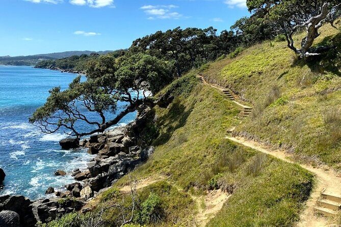 Waipu Milkyway Cave and East Coast Day Tour from Auckland - How the Tour Comes Together