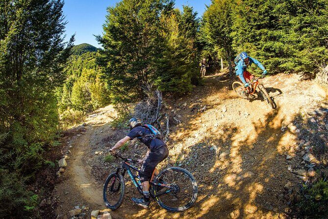 Wairoa Gorge MTB Park Private Shuttle Day - Key Points
