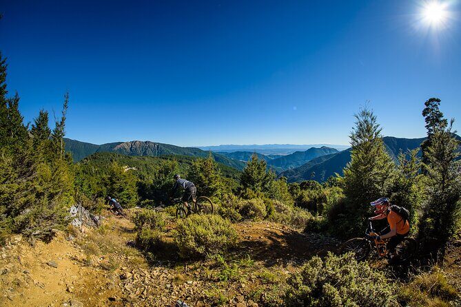 Wairoa Gorge MTB Park Private Shuttle Day - Mechanical Support and Rental Options