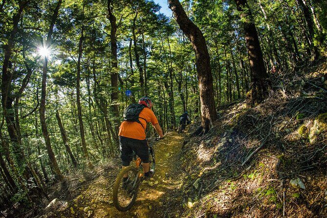 Wairoa Gorge MTB Park Private Shuttle Day - Authentic Feedback and What You Can Expect