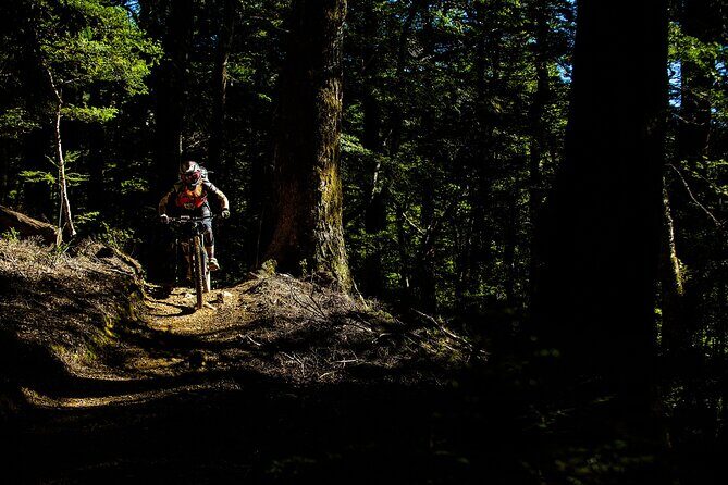 Wairoa Gorge MTB Park Private Shuttle Day - Who Will Love This Tour?