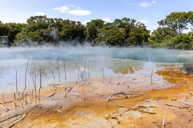 Waitakere Auckland Private Tour - The Itinerary in Detail