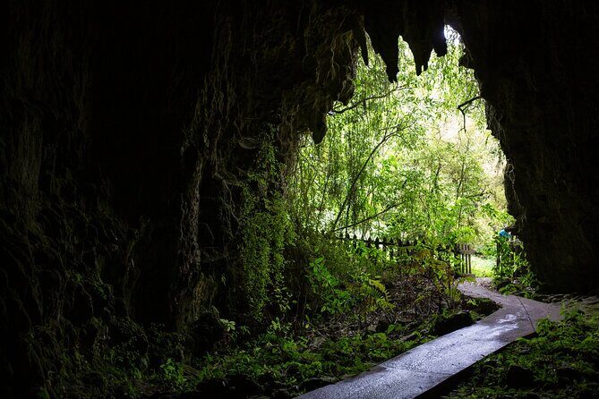 Waitakere Auckland Private Tour - FAQ