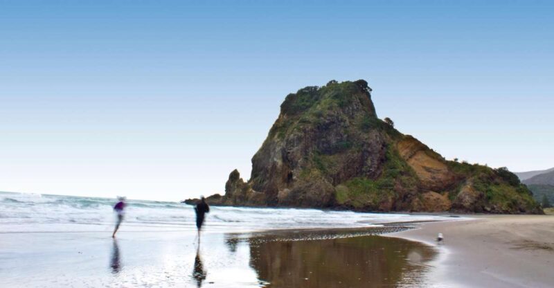 Waitakere Ranges Wilderness Experience Tour from Auckland - Rainforest Walk and Native Flora