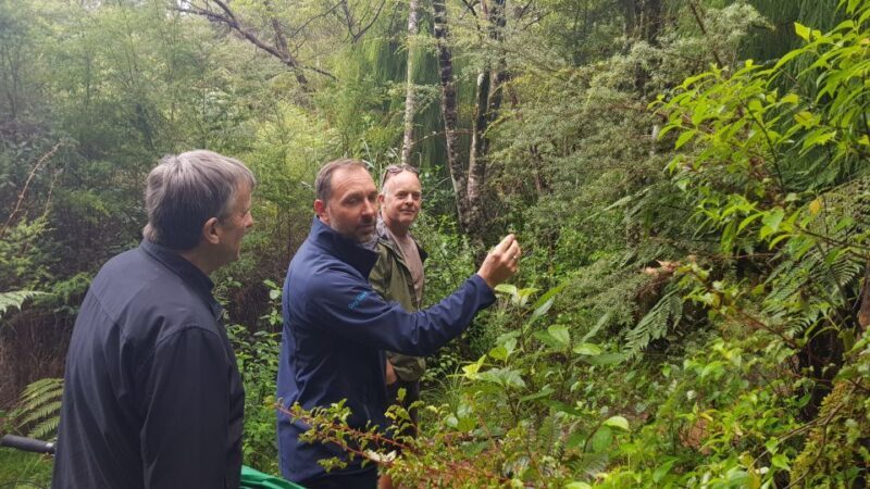 Waitakere Ranges Wilderness Experience Tour from Auckland - Cost and Value