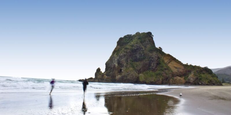 Waitakere Ranges Wilderness Experience Tour from Auckland - Who Will Enjoy This?