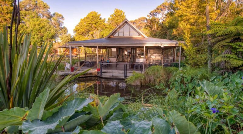 Waitangi Treaty Grounds: 2-Day Pass - Final Thoughts
