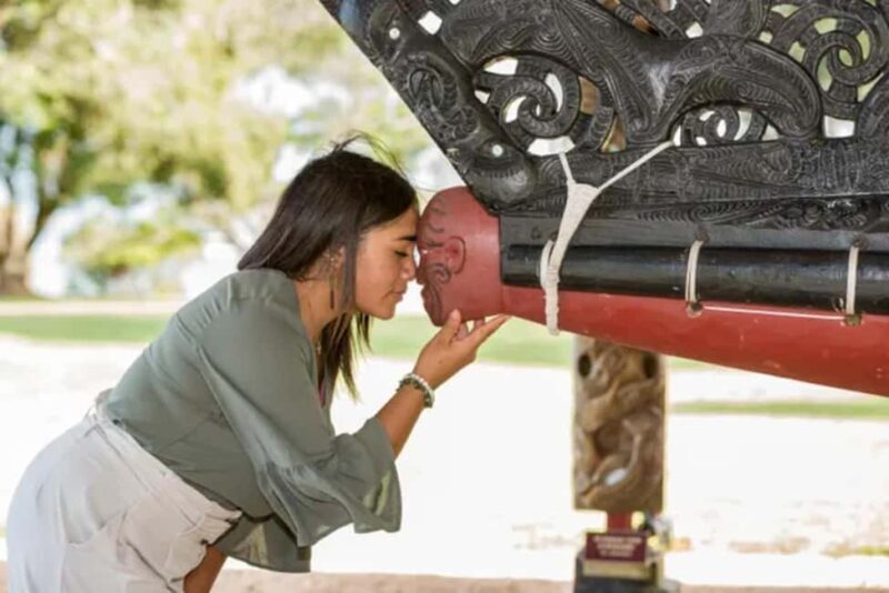 Waitangi Treaty Grounds Guided Tour - Key Points