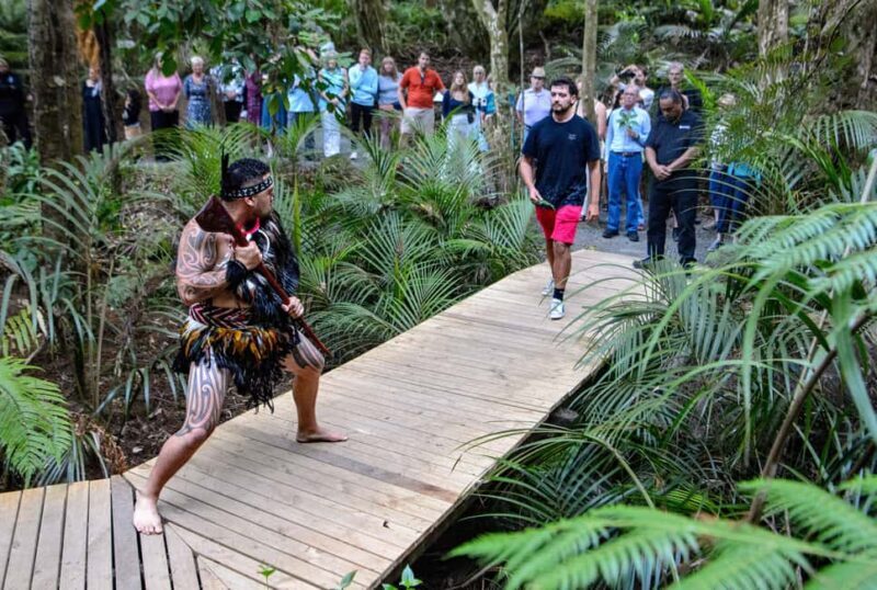 Waitangi: Treaty Grounds Hng and Concert Combo Pass - The Grounds and Museums