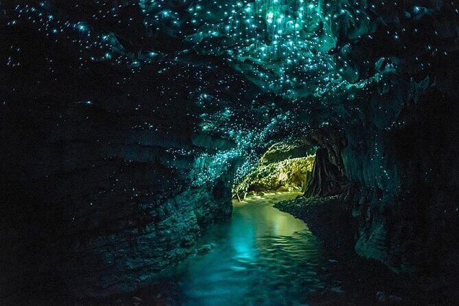 Waitomo Cave and Hobbiton Village Full Day Tour - The Sum Up