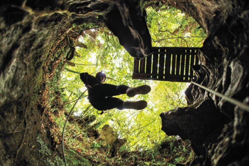 Waitomo Caves Black Abyss Ultimate Caving Experience - Who Should Consider This Tour?
