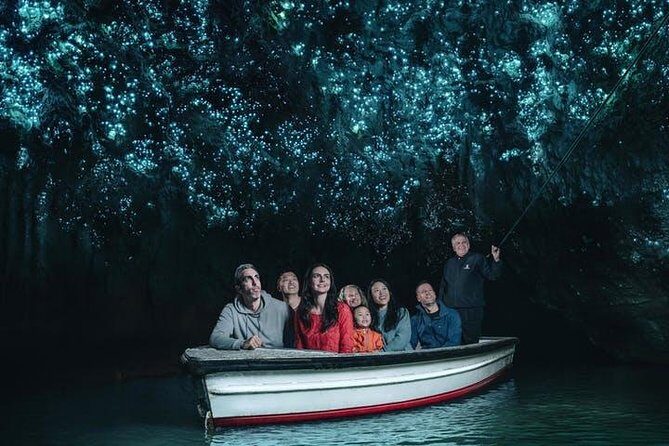 Waitomo Caves Private Tour from Auckland - Key Points