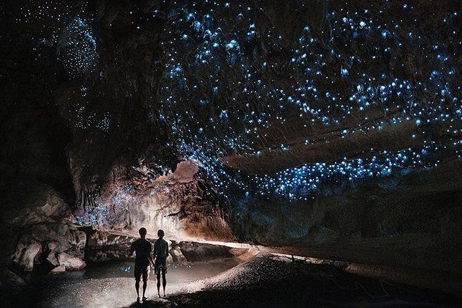 Waitomo Caves Private Tour from Auckland - The Experience in Detail: What to Expect