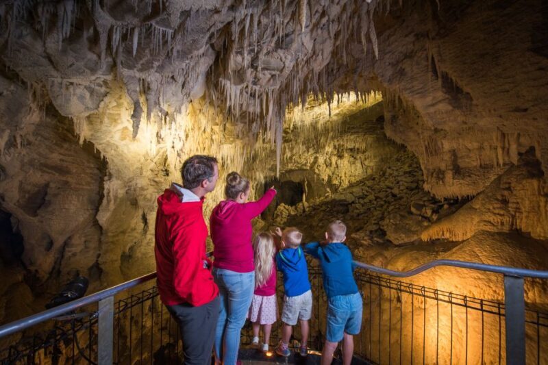 Waitomo Caves: Ruakuri Cave 1.5 Hour Guided Tour - Key Points