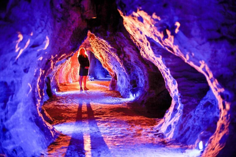 Waitomo Caves: Ruakuri Cave 1.5 Hour Guided Tour - Final Thoughts: Who Will Love This Tour?