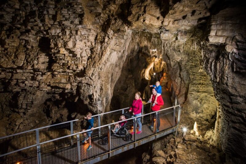 Waitomo Caves: Ruakuri Cave 1.5 Hour Guided Tour - Frequently Asked Questions