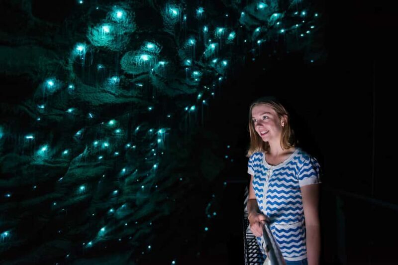 Waitomo Caves: Ruakuri Glowworm Cave Guided Walking Tour - Why This Tour Excels for Different Travelers
