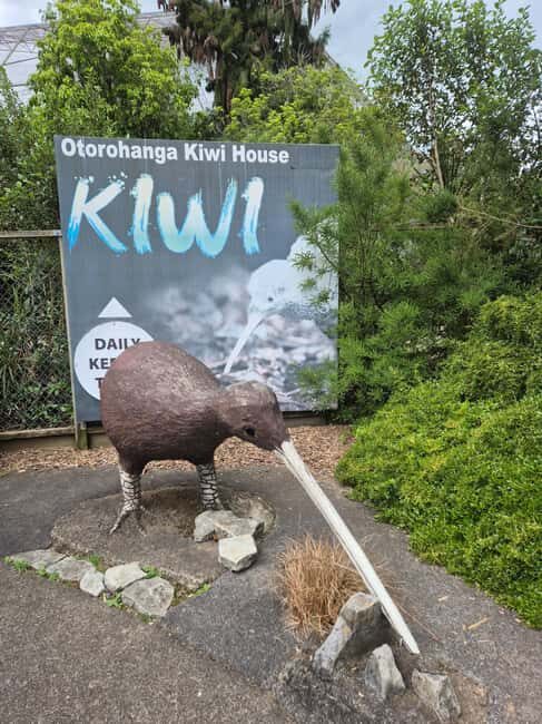 Waitomo: Caves to Kiwis eBike ride - The Scenic Journey from Waitomo Caves to Otorohanga