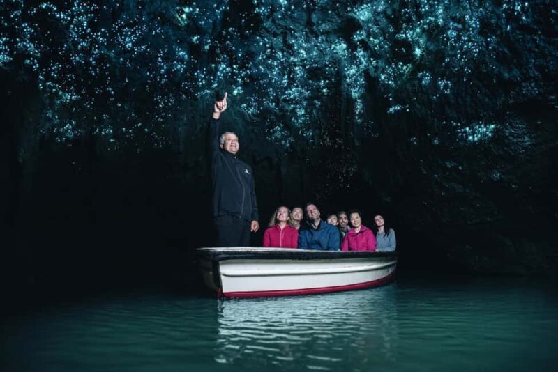 Waitomo Caves, Zealong Tea & Kiwi House Private Tour - Practical Details and Value
