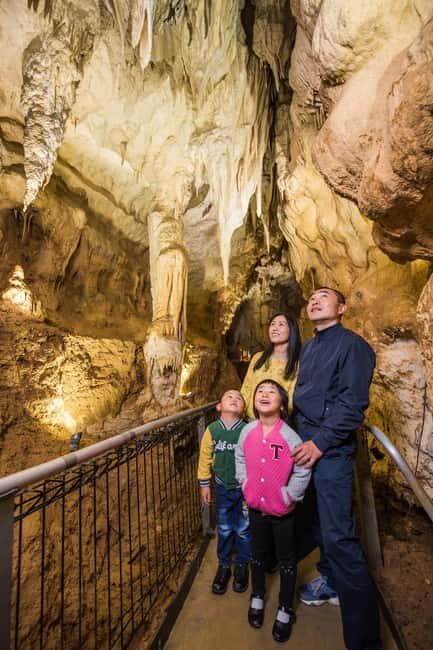 Waitomo Caves, Zealong Tea & Kiwi House Private Tour - What Makes this Tour Stand Out?