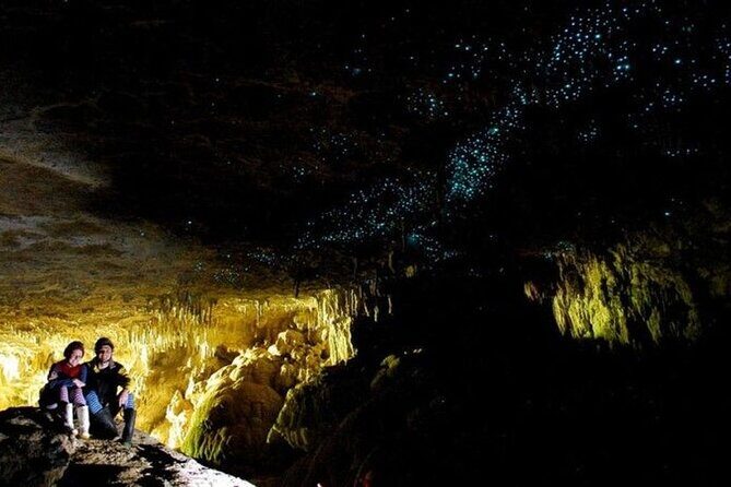 Waitomo Glow Worm Caves Private Tour from Auckland - Key Points