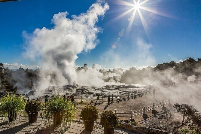 Waitomo Glow Worm Caves & Te Puia - Rotorua's Geothermal Valley - Key Points